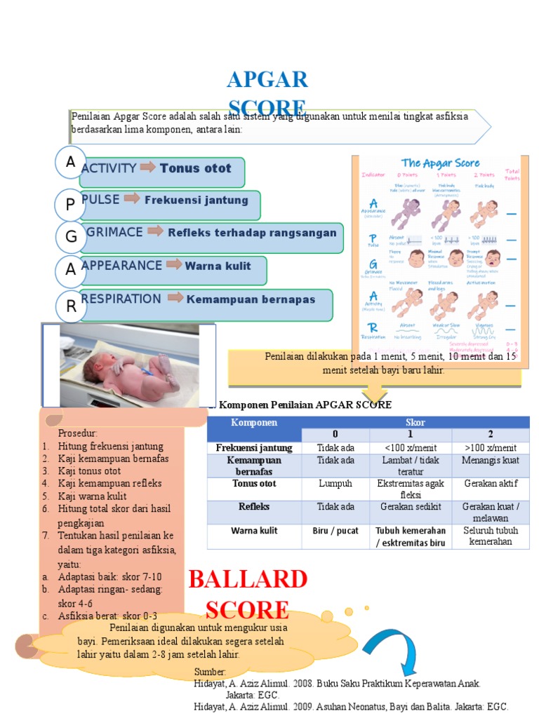 Poster Apgar Score Dan Ballard Score | PDF