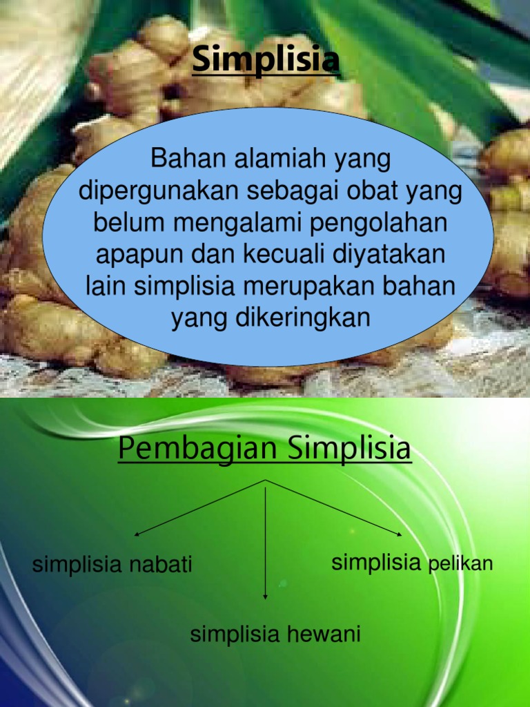 Cara Pembuatan Simplisia | PDF