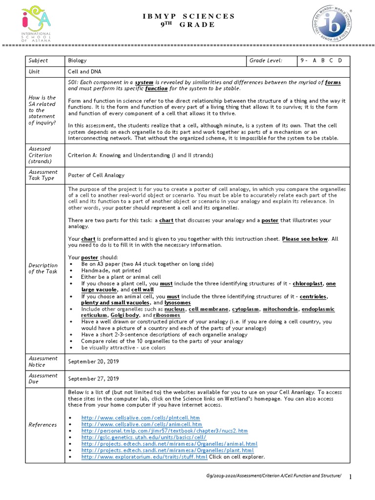 MYP Assessment Criterion A Cell Analogy | PDF