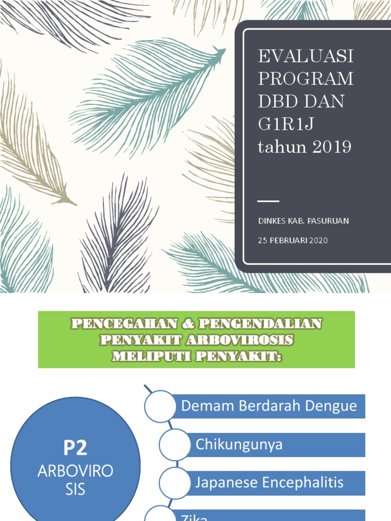 Evaluasi DBD Girij 2019 | PDF | Kesehatan Holistik