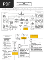 Pathway CKD Sdki | PDF