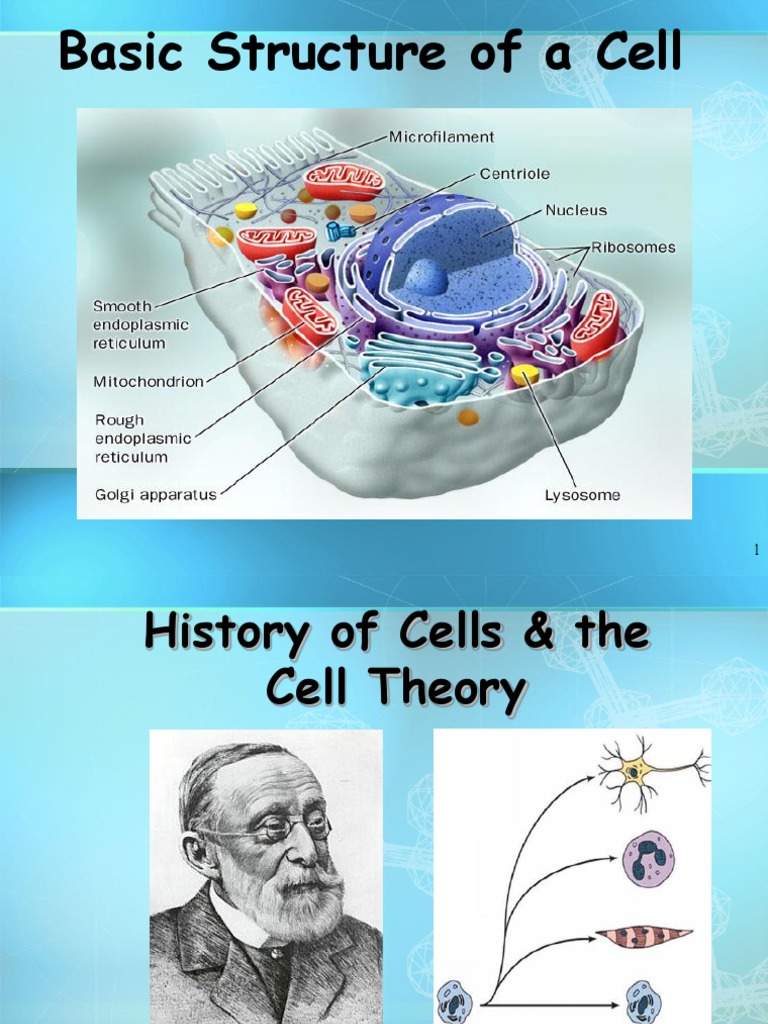 Chapter 2.cell Structures and Functions | PDF