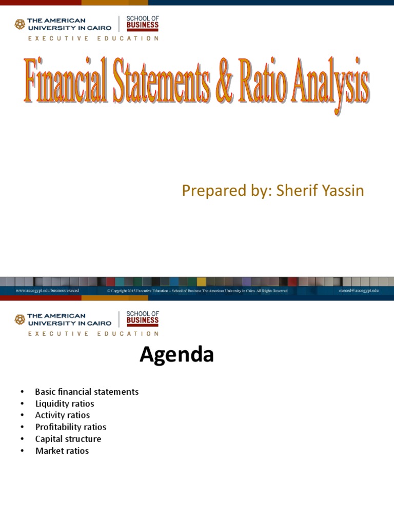 Financial Statement Ratio Analysis Presentation | PDF