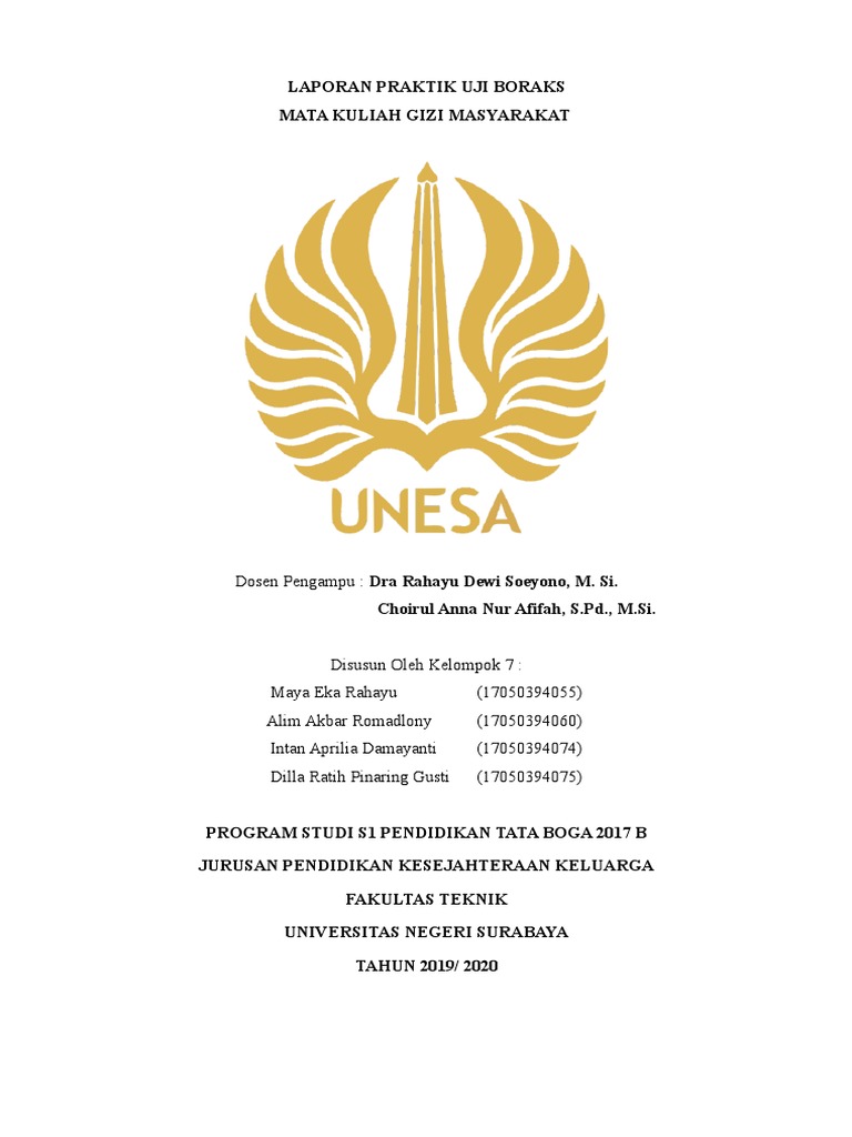 Laporan Praktik Uji Boraks | PDF | Kesehatan Holistik | Sains & Matematika