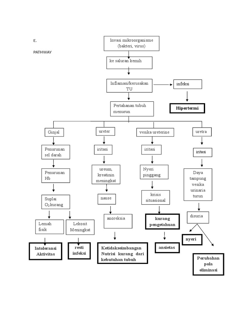 Pathway Isk Nur Rahmiyani | PDF