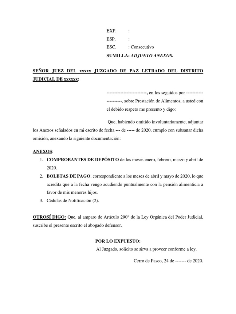 Modelo de Escrito Adjuntando Anexos | PDF