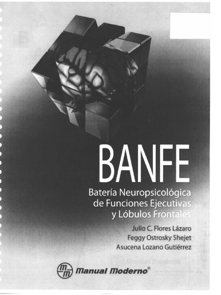 Manual BANFE | PDF
