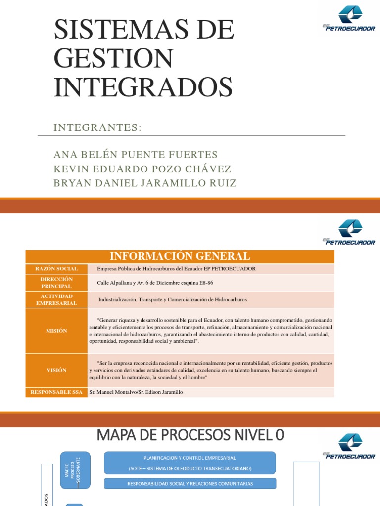 Sistemas de Gestion Integrados, Sote Nivel 0 y Nivel 1 | PDF | Petróleo | Economias