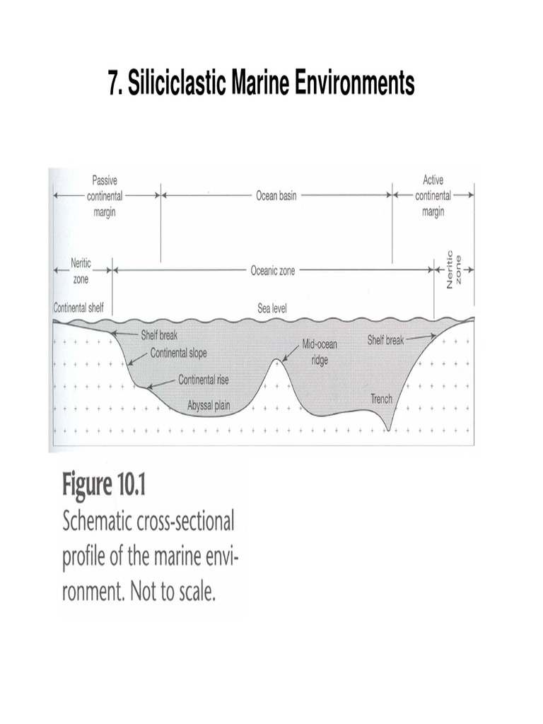 Siliciclastic Marine Environments Overview | PDF | Continental Shelf ...