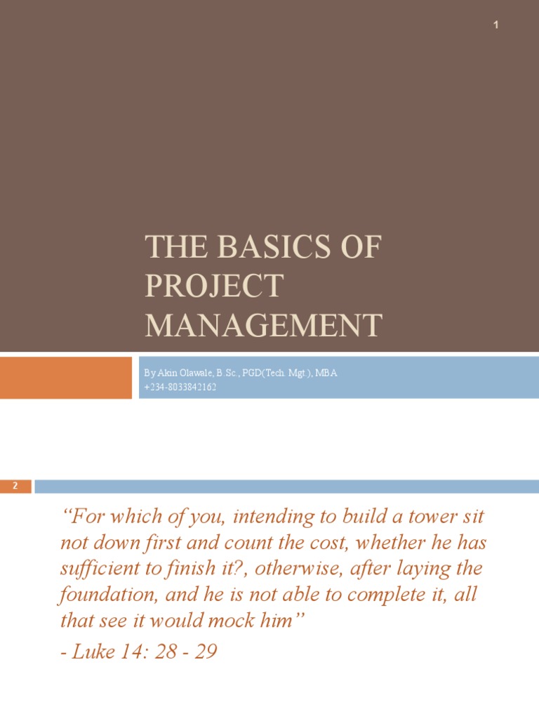 The Basics of Project Management | PDF | Project Management | Cost ...