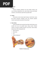 Panduan Tatalaksana Serumen Prop | PDF | Kesehatan Holistik