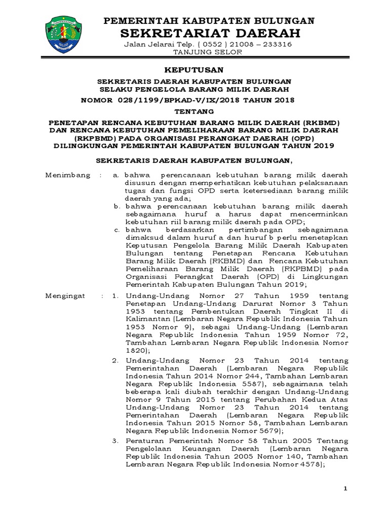 Rencana Kebutuhan Barang Daerah 2019 | PDF