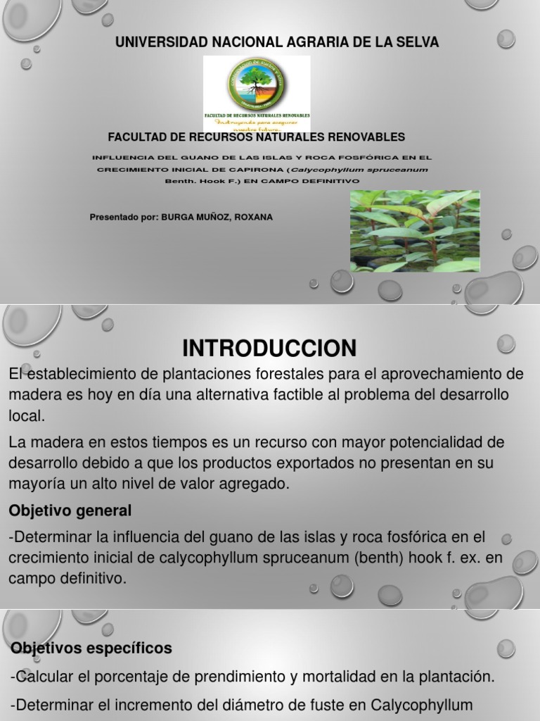 CAPIRONA | PDF | Suelo | Agricultura