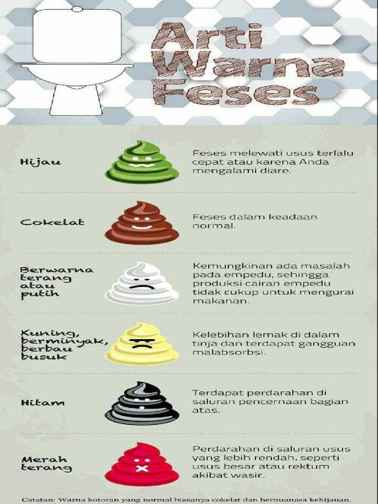 Arti Warna Feses | PDF