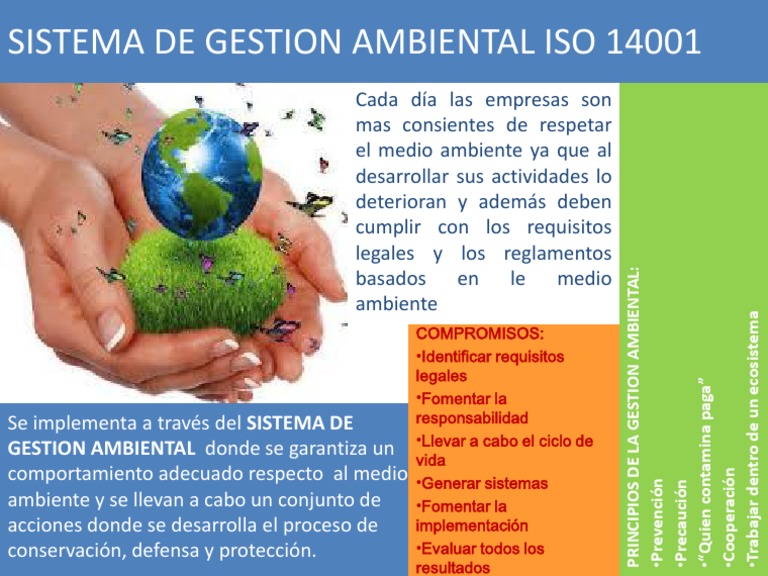 T1 Afiche Creativo Del Sga | PDF