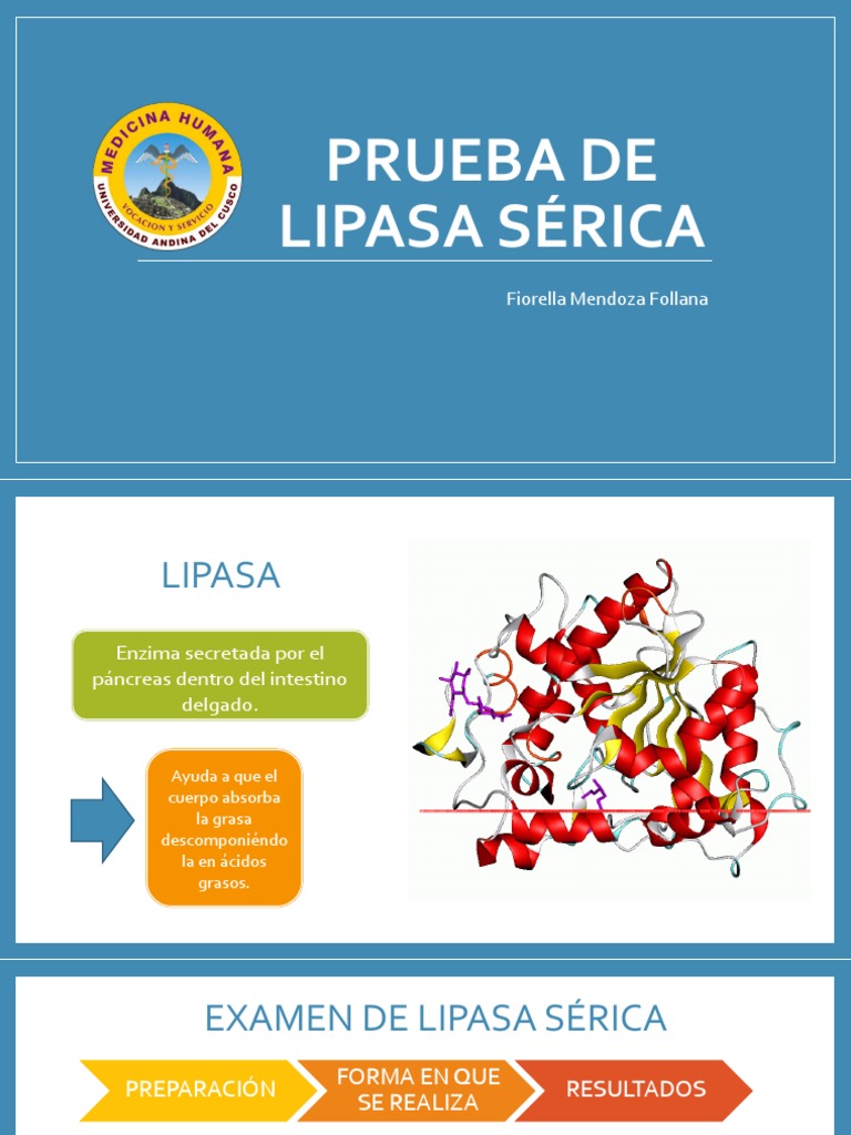 LIPASA | PDF
