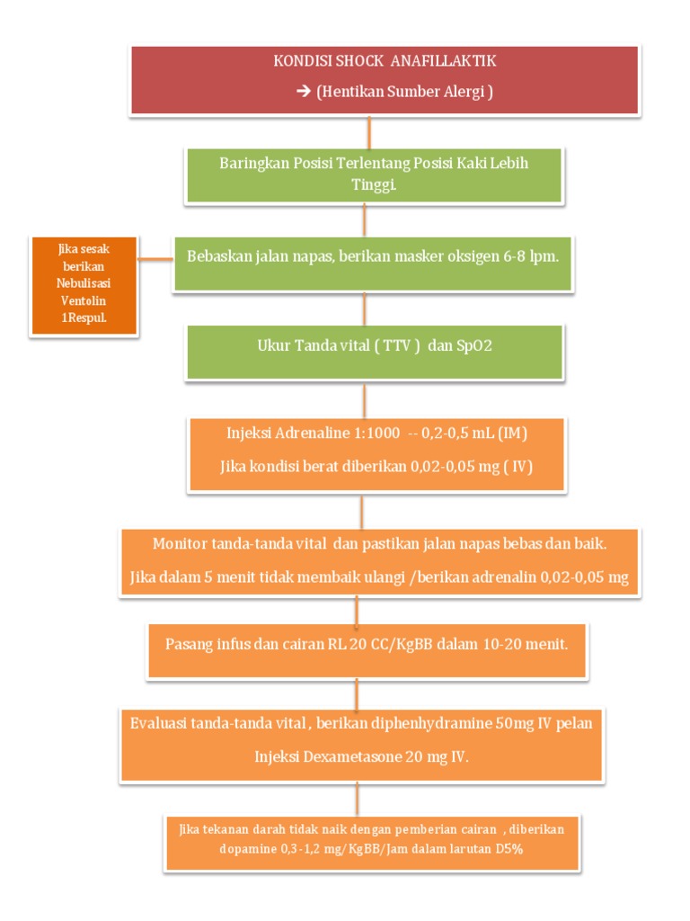 Anafilaksis Flow Chart SOP | PDF