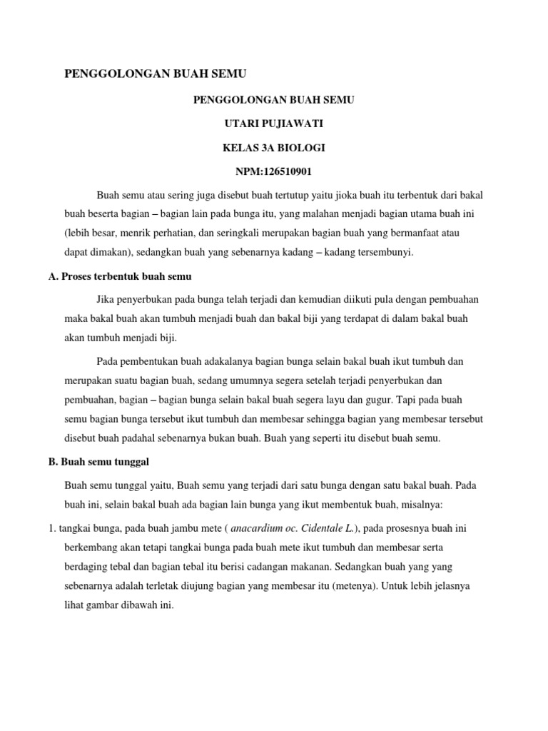 Jenis dan Proses Buah Semu | PDF
