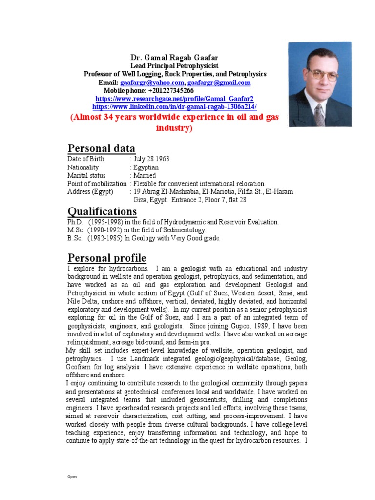 Gamal Ragab Gaafar Resume Updated November 2019 | PDF