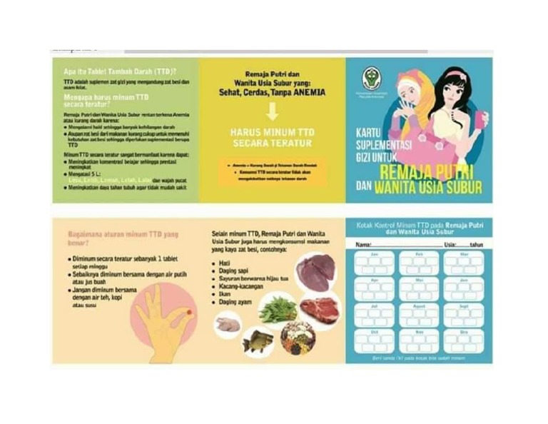 Leaflet TTD Rematri Dan Wanita Usia Subur | PDF