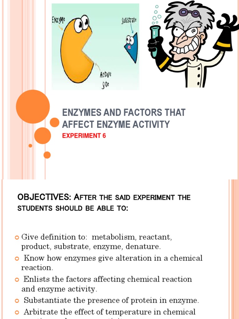 Enzymes and Factors That Affect Enzyme Activity | PDF | Cooking, Food ...