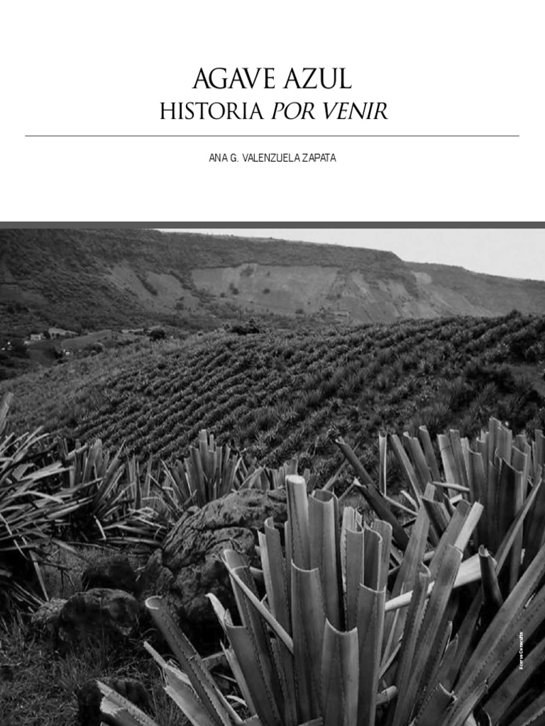 Historia del Agave Azul en México | PDF