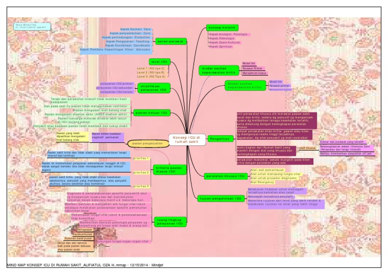 Mind Map Konsep Icu Di Rumah Sakit Alifiatul Oza H. 2 PDF | PDF