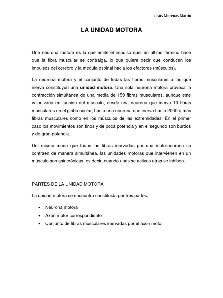 Definición y Función de la Unidad Motora | PDF | Neurona motora | Músculo