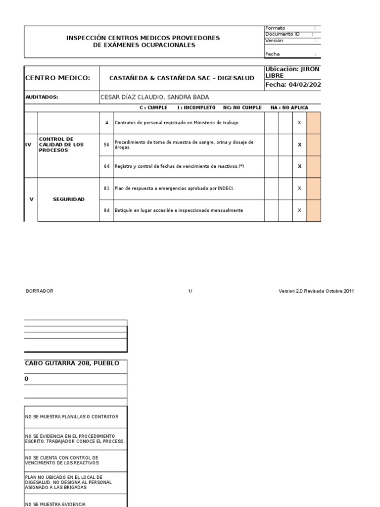 Formato Auditoria Proveedores de Servicios de Salud Ocupacional ...