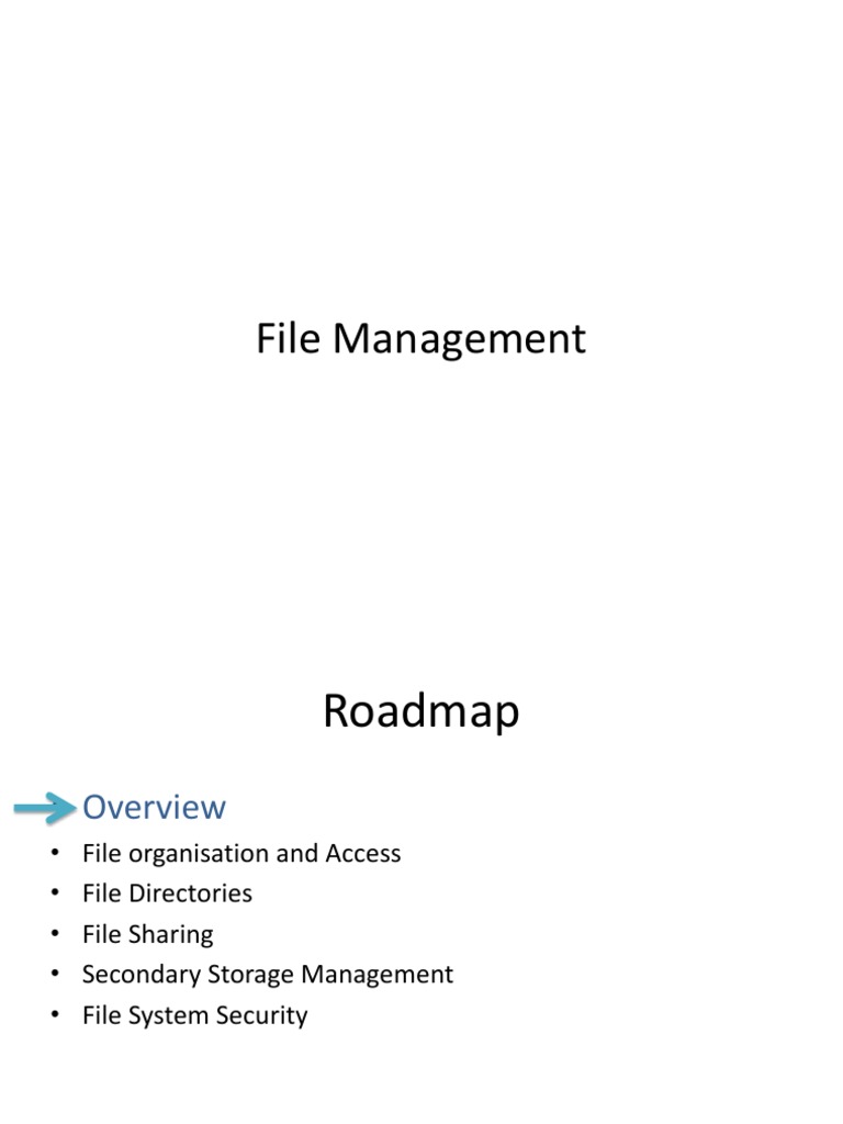 Lecture 6 - File Management Security | PDF | Computer Virus | Information Security