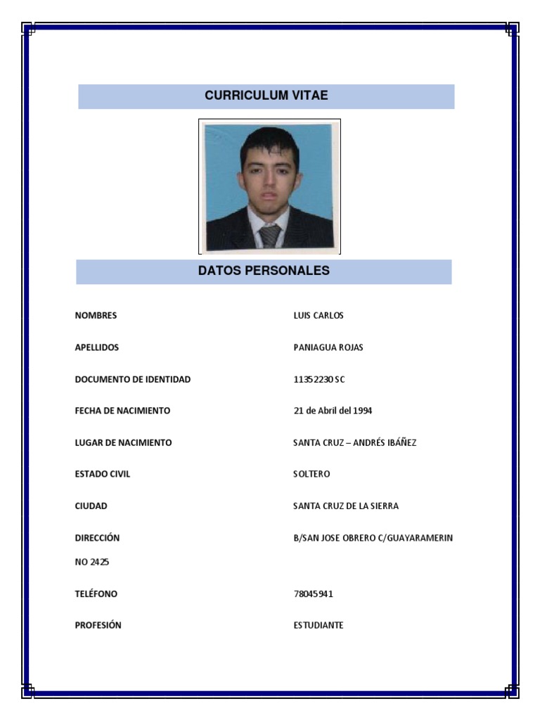 Curriculum Luis Carlos PDF | PDF