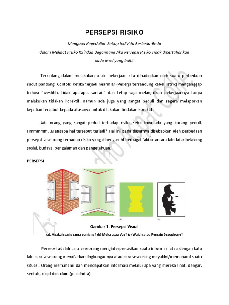 Risk Perception | PDF