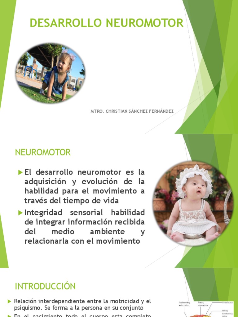 Desarrollo Neuromotor | PDF | Desorden hiperactivo y deficit de ...