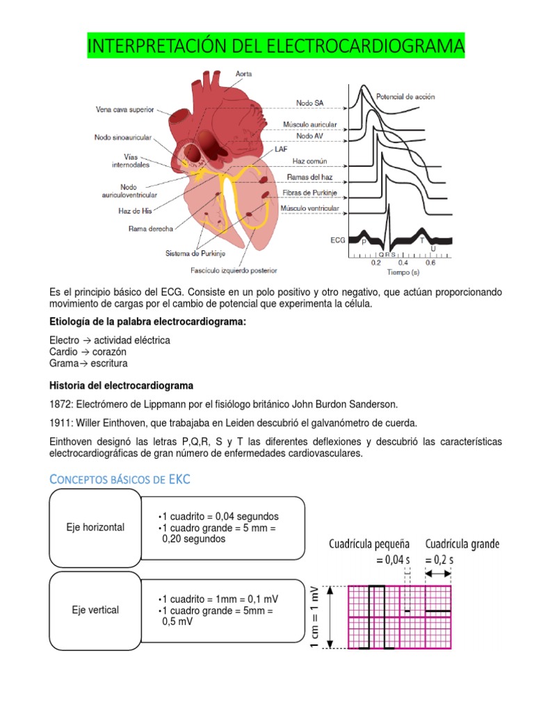 Interpretación Del Electrocardiograma | PDF | Electrofisiologia ...