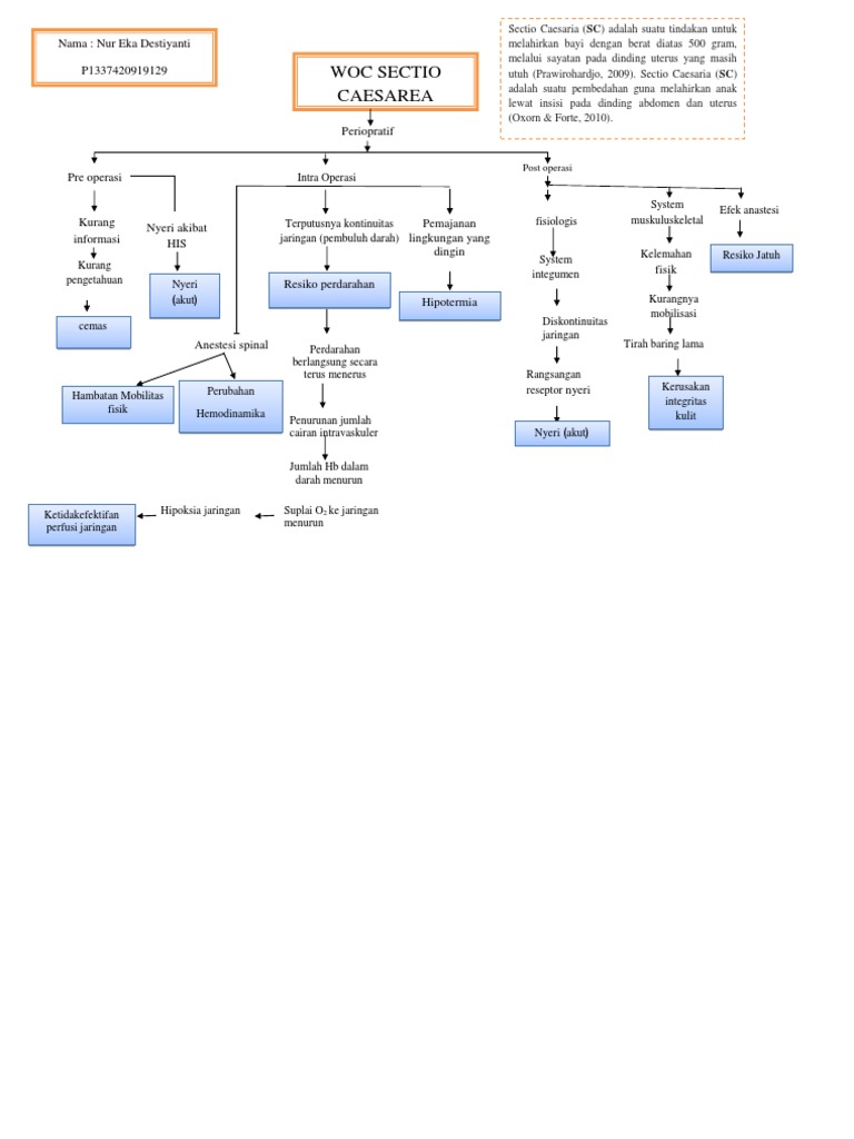 Woc Ibs SC | PDF