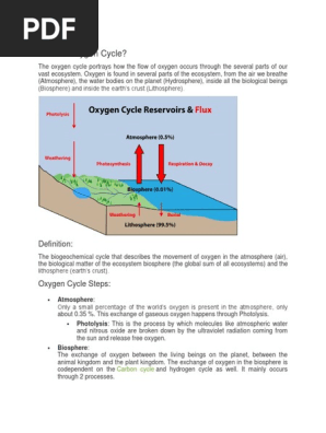 Oxygen Cycle Steps