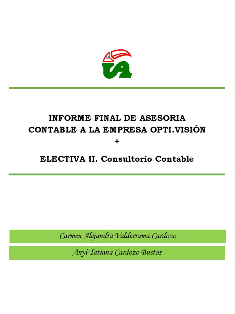 Informe Final Electiva | PDF | Contabilidad | Planificación
