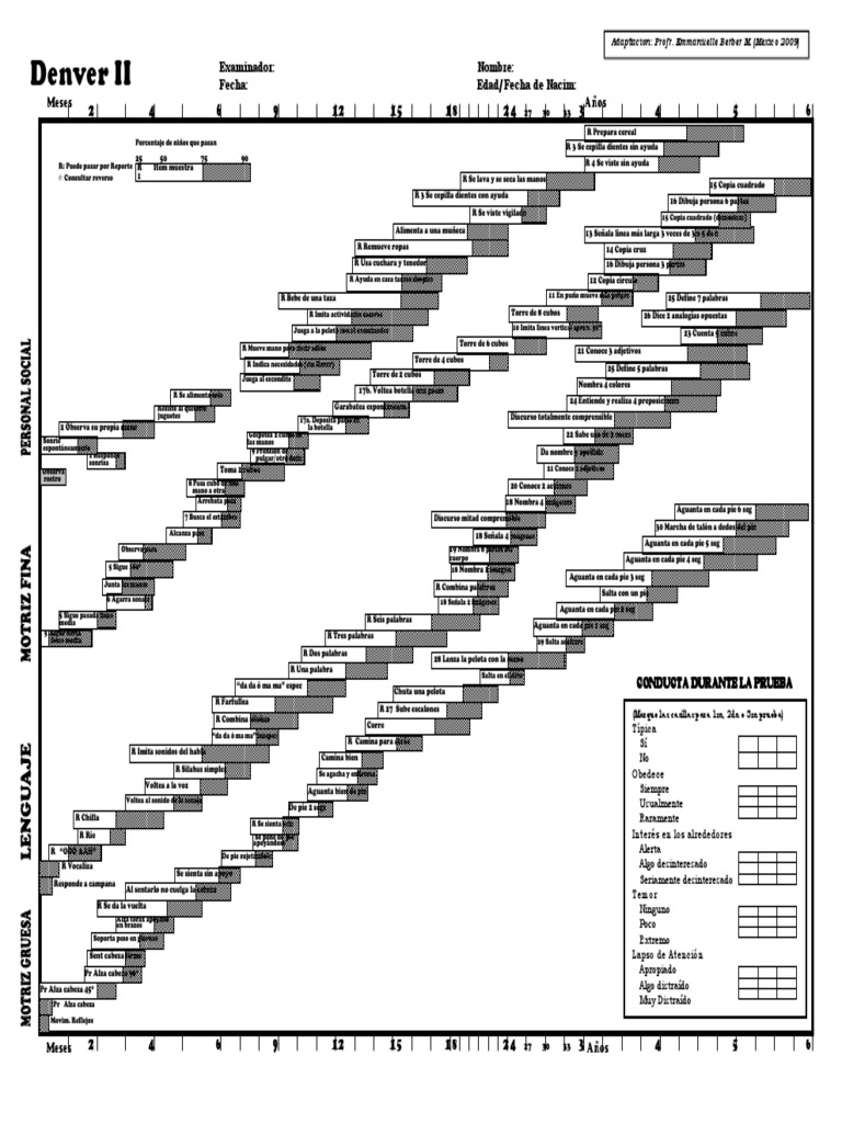 Denver II Protocolo | PDF | Ocio