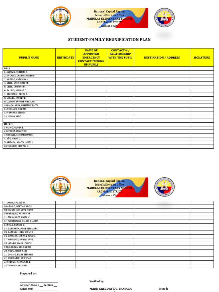 SDRRMC - Family Reunification Plan | PDF
