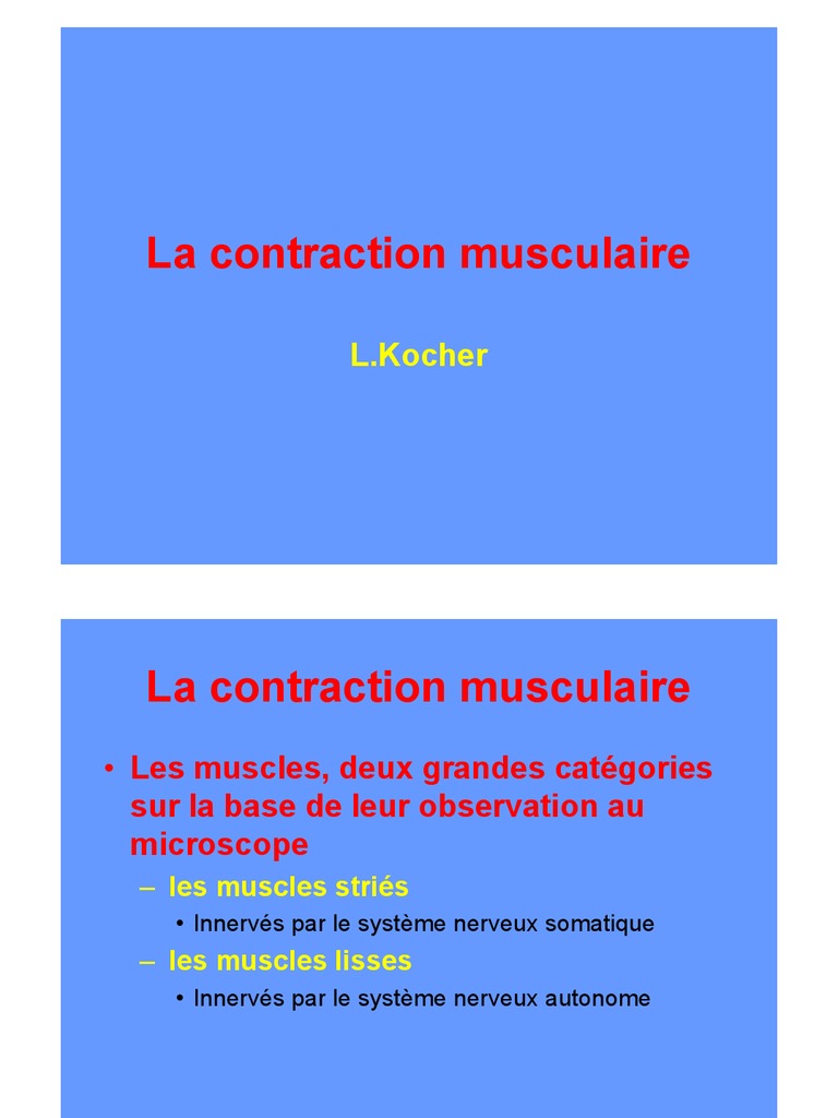 Mécanismes de la contraction musculaire | PDF | Contraction du muscle ...