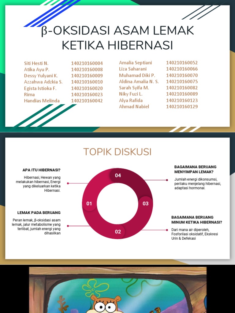 (LIPID 1) β-Oksidasi Asam Lemak pada Hibernasi | PDF