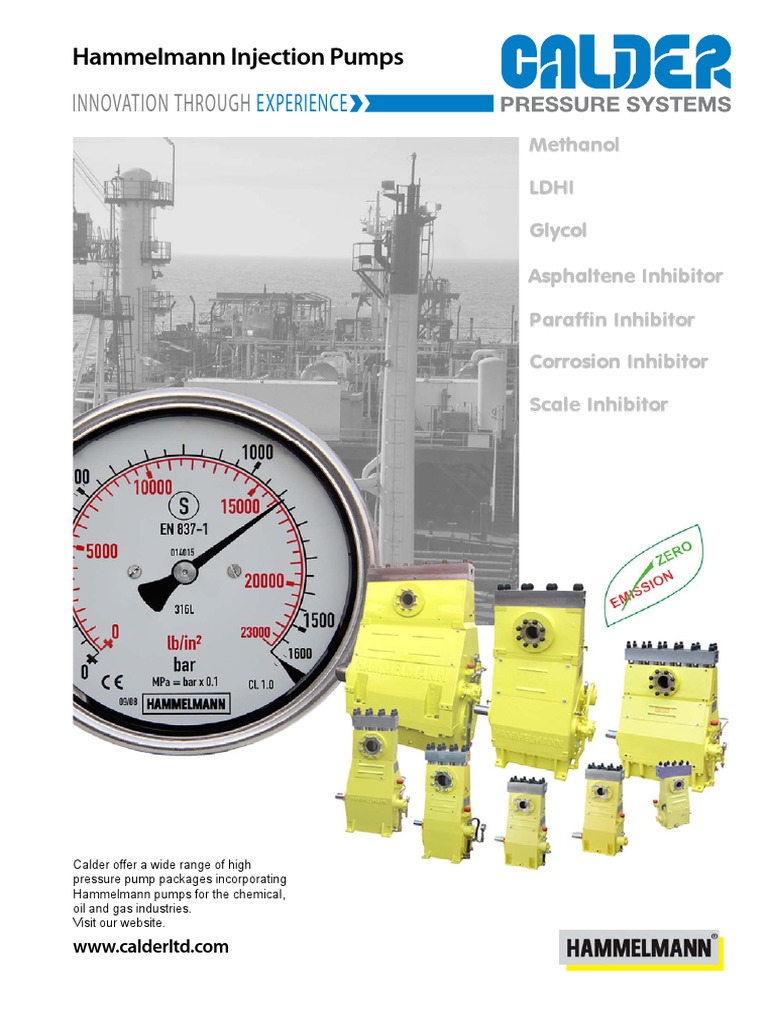 Hammelmann Injection Pumps | PDF