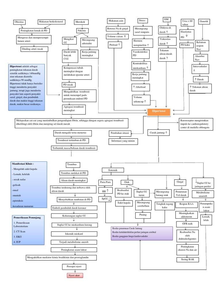 Pathway Umum Hipertensi (1) - 1 | PDF
