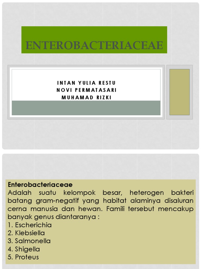 Karakteristik dan Patogenitas Enterobacteriaceae | PDF | Kesehatan Holistik | Sains & Matematika