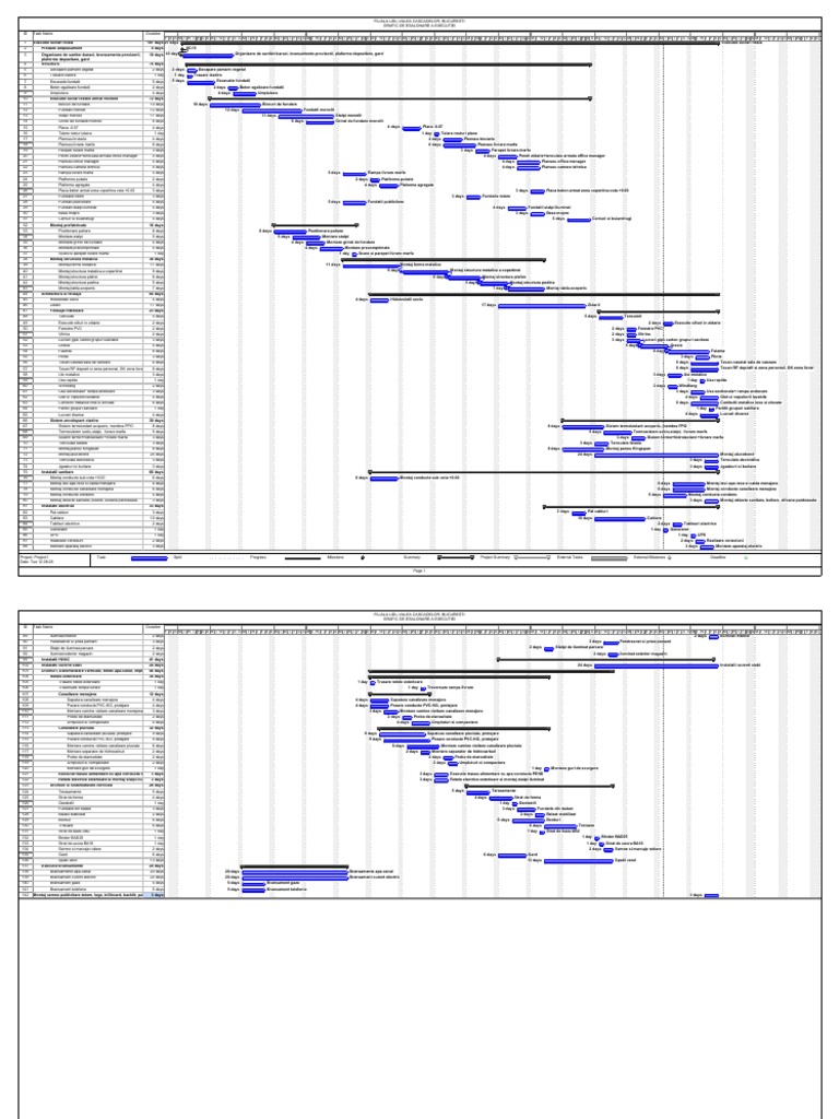 Grafic Gantt - Executie Magazin Comercial | PDF