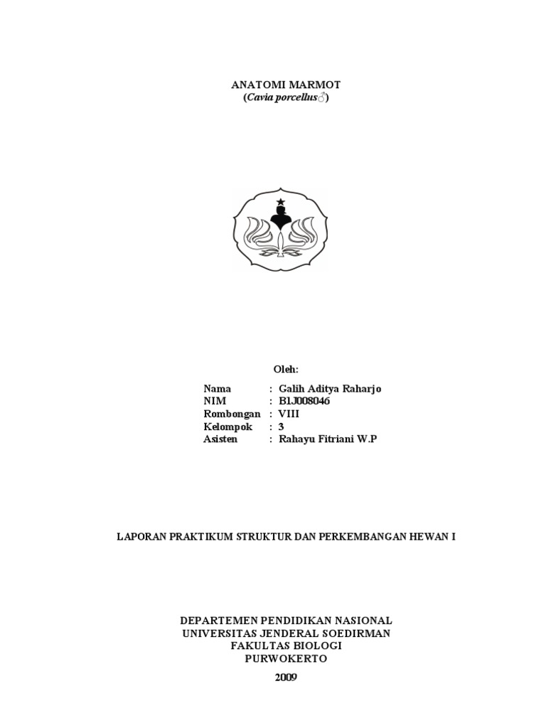 Anatomi dan Sistem Pencernaan Marmut | PDF