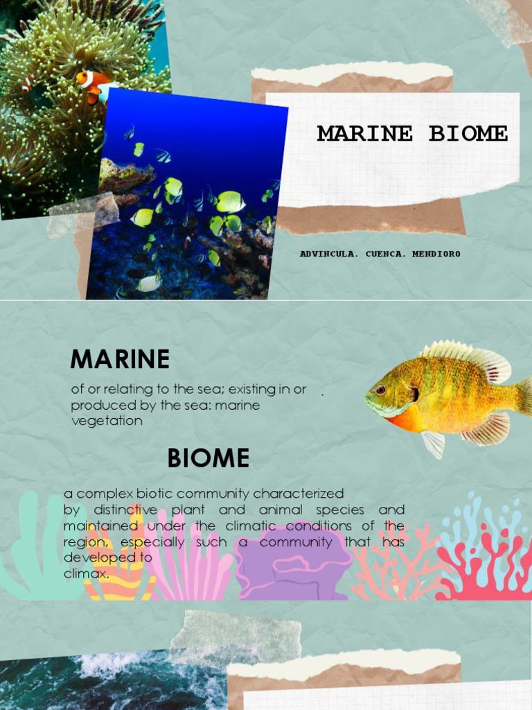 Overview of the Marine Biome Ecosystem | PDF