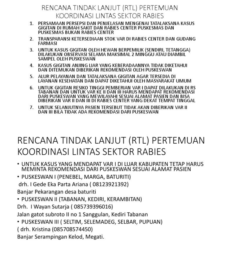 Rencana Tindak Lanjut (RTL) Pertemuan Koordinasi | PDF