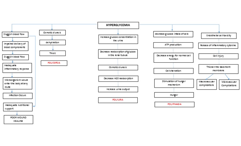 Hyperglycemia Pathophysiology | PDF