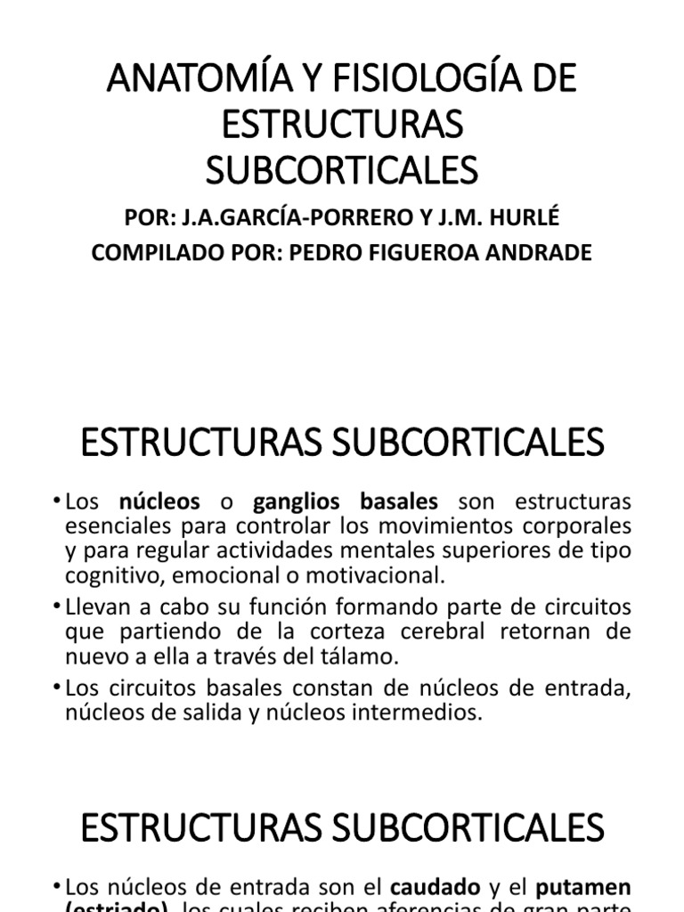 Anatomía y Fisiología de Estructuras Subcorticales | PDF